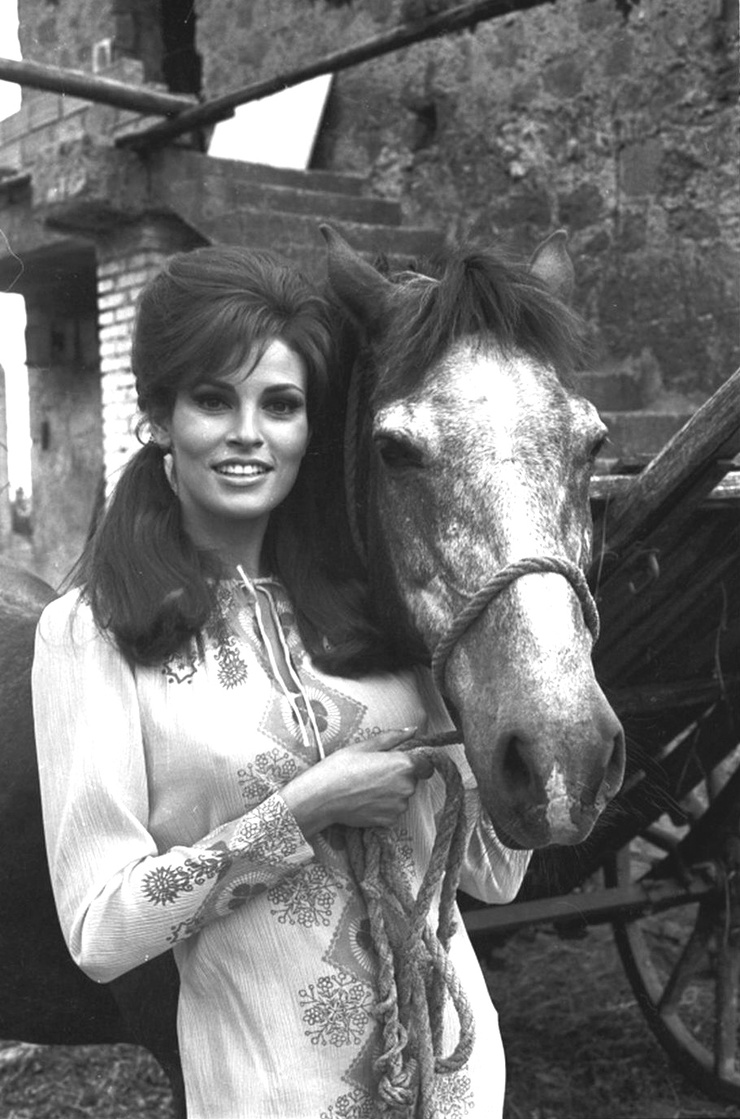 Picture of Raquel Welch
