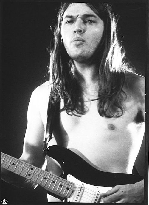 Picture of David Gilmour