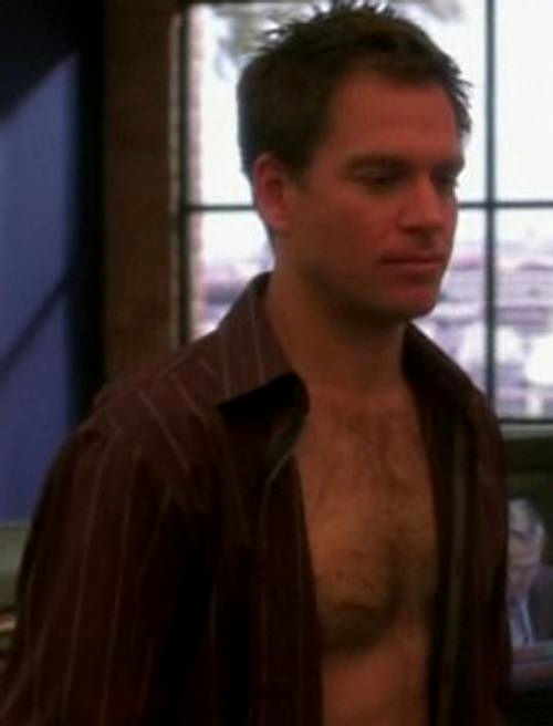 Image of Michael Weatherly