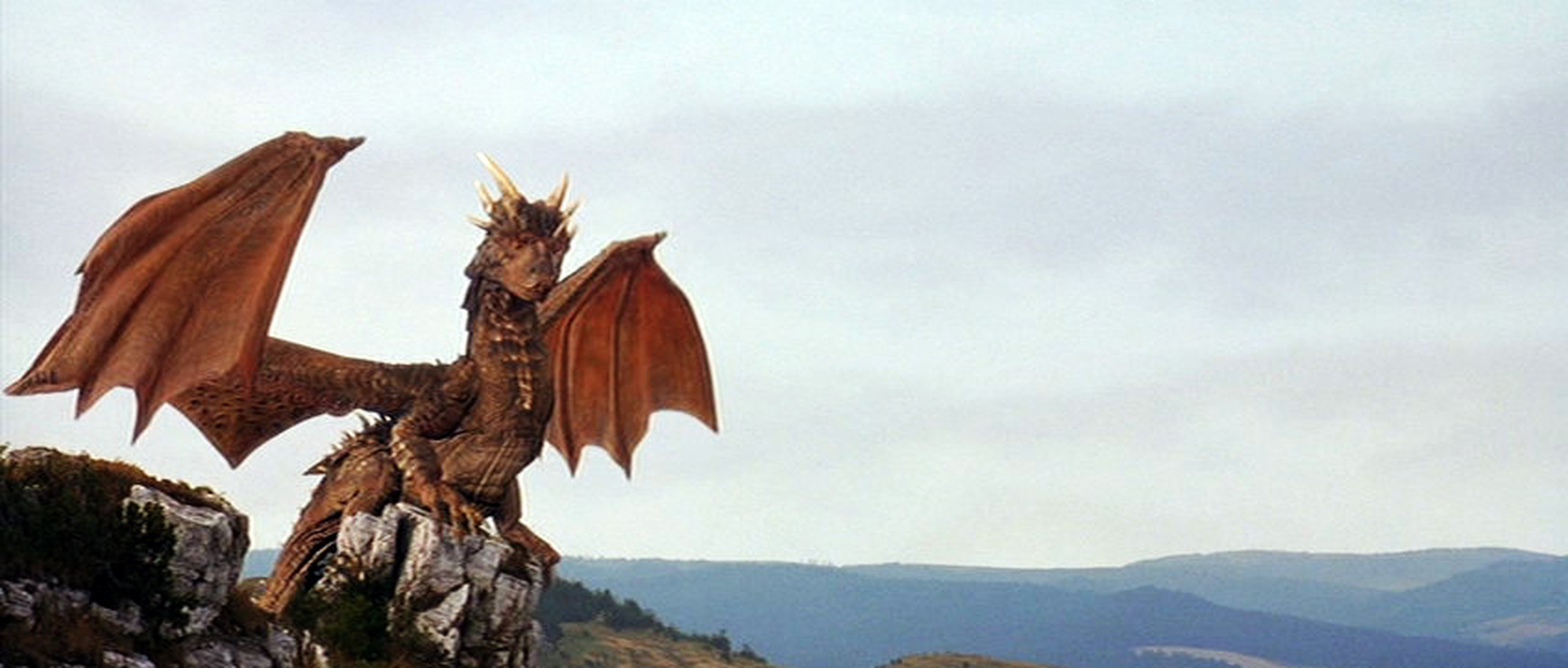 Picture of Dragonheart