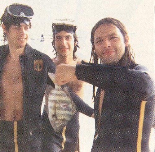 Picture of David Gilmour