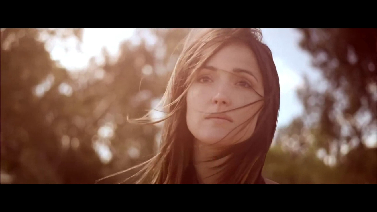 Picture of The Turning