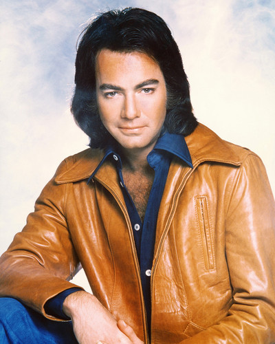 Picture of Neil Diamond