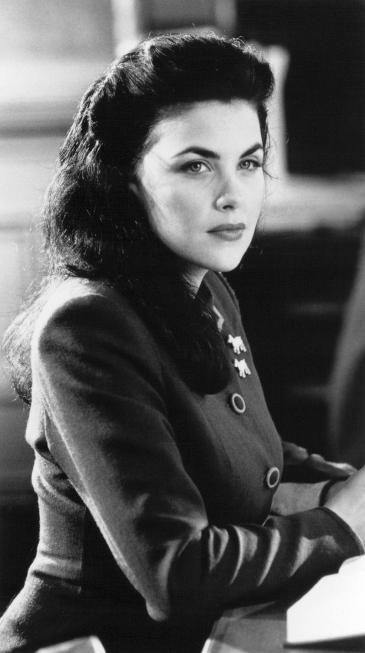 Sherilyn Fenn image