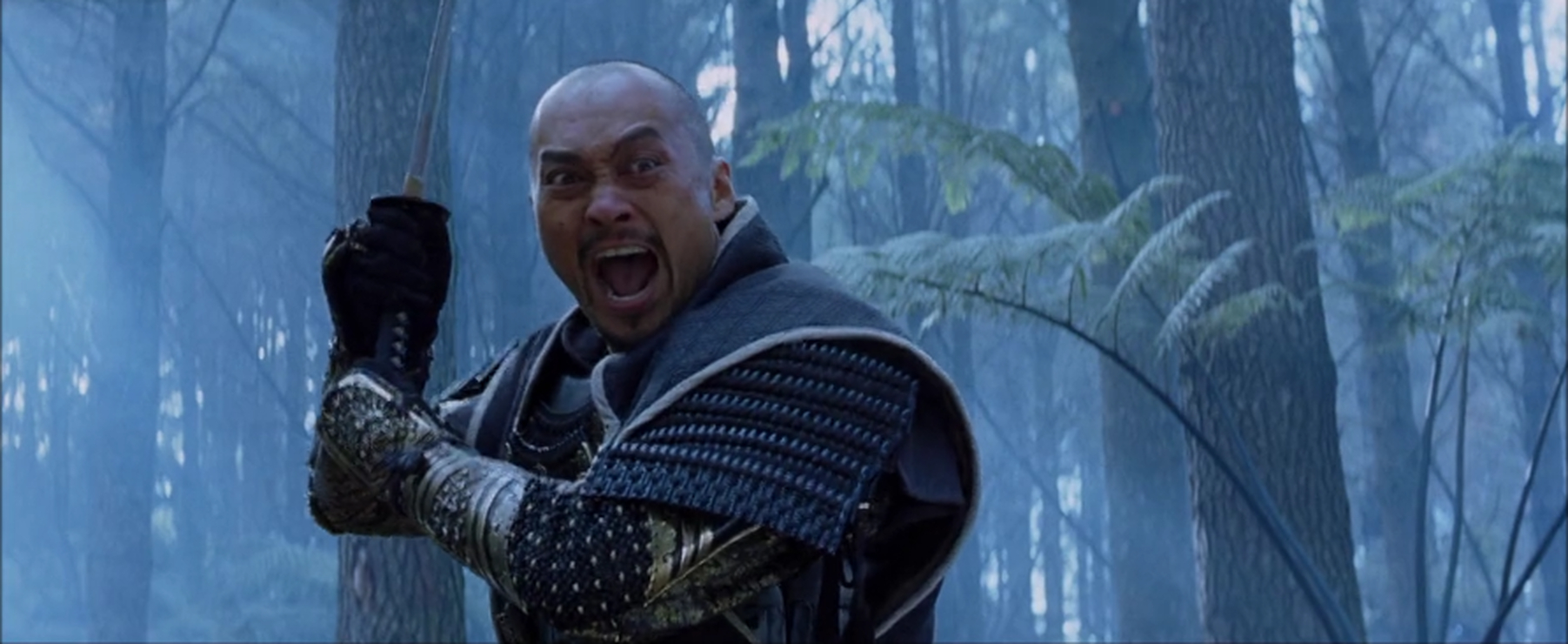 Picture of The Last Samurai