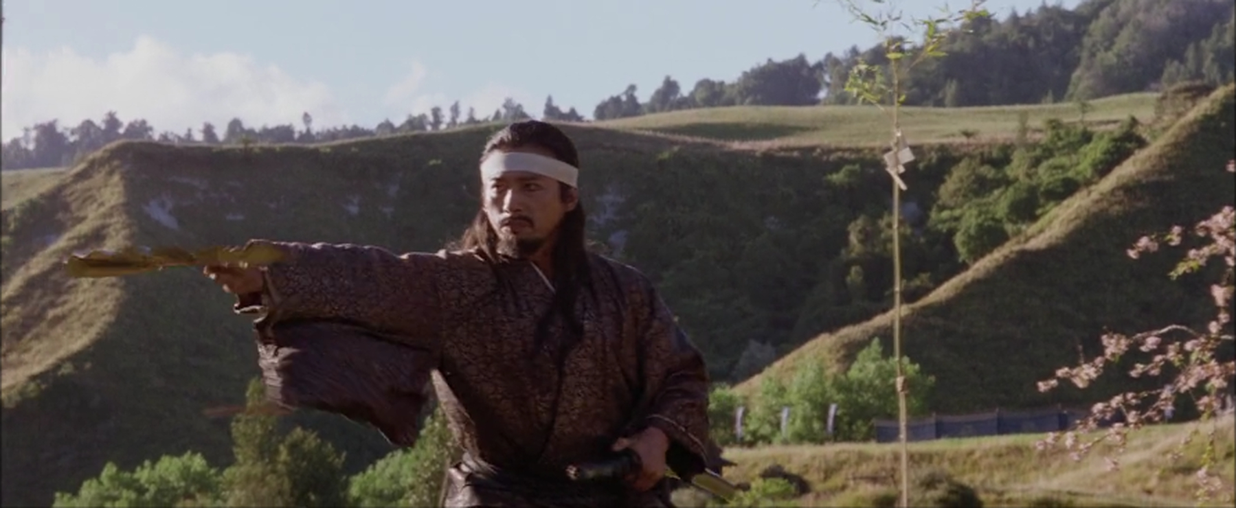 Picture of The Last Samurai