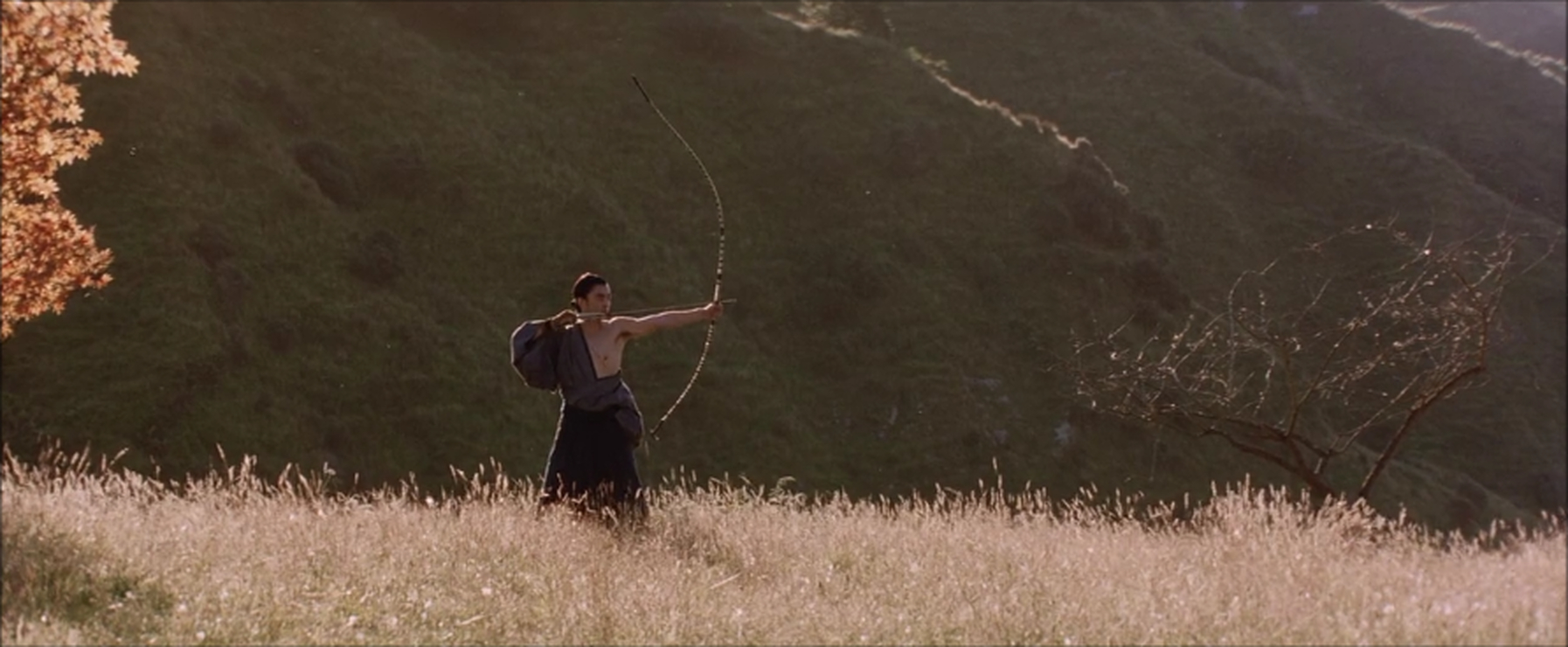 Picture of The Last Samurai