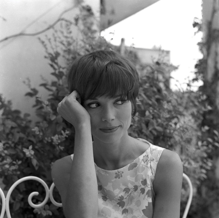 Picture of Elsa Martinelli