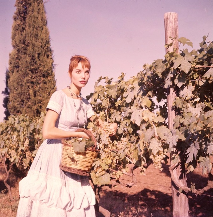 Picture of Elsa Martinelli