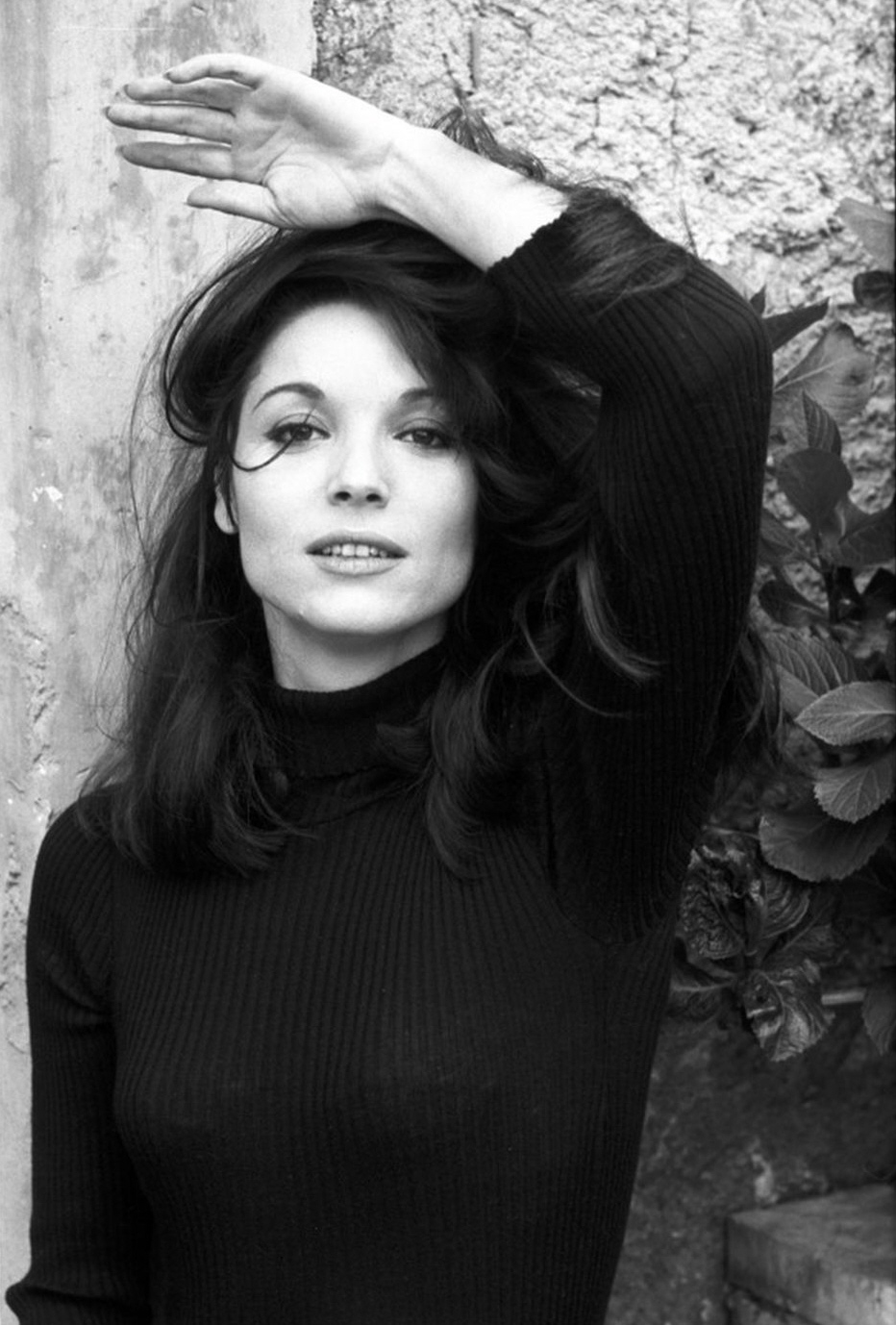 Picture of Elsa Martinelli