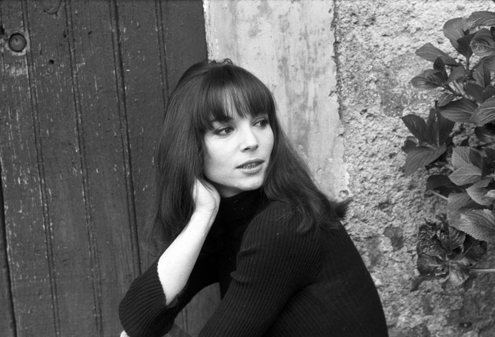 Picture of Elsa Martinelli