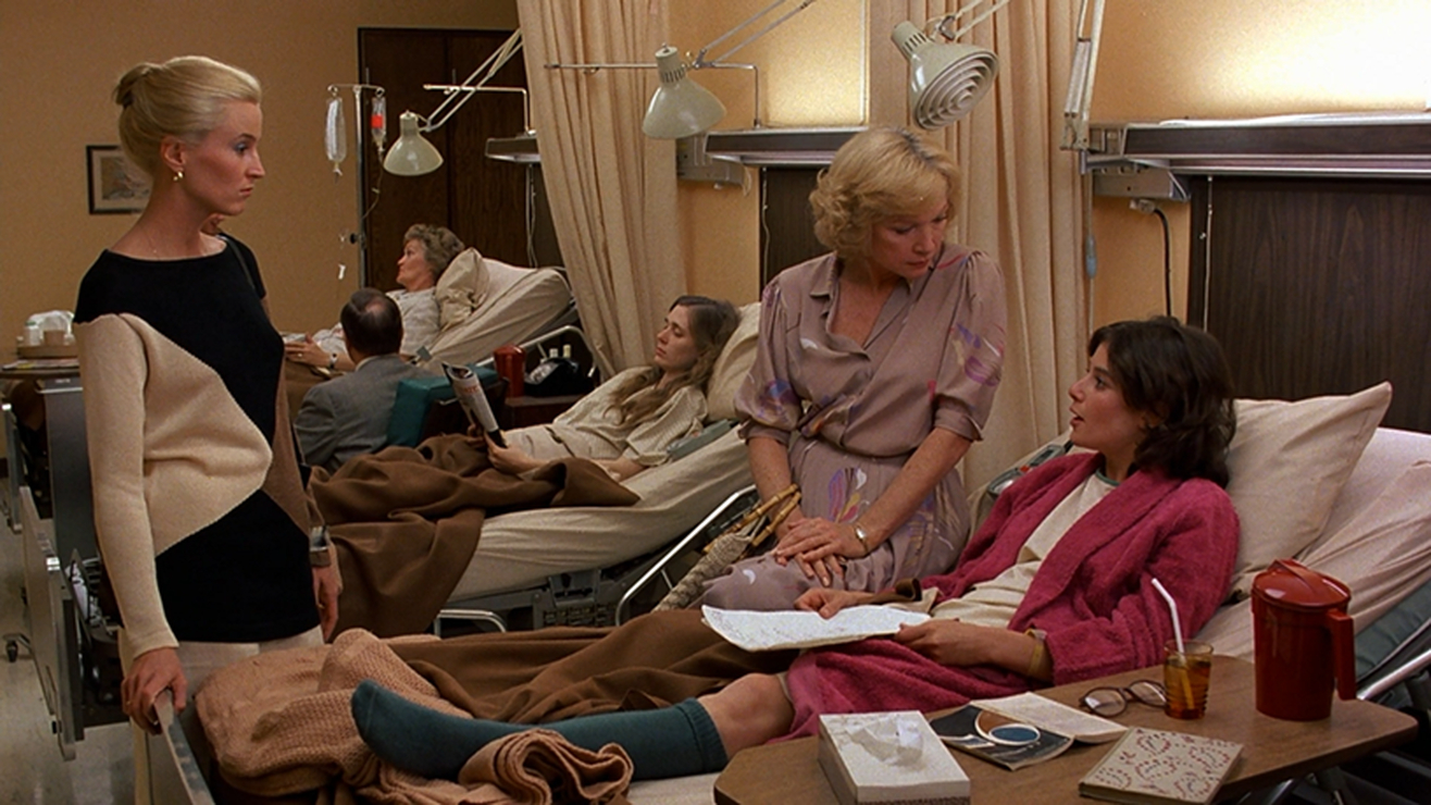 Picture of Terms of Endearment (1983)