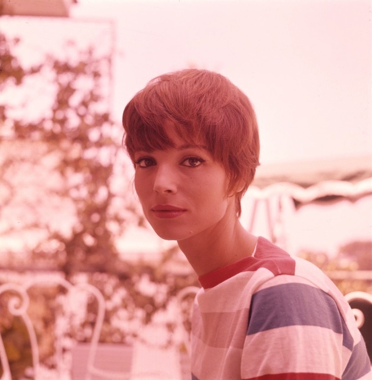 Picture of Elsa Martinelli