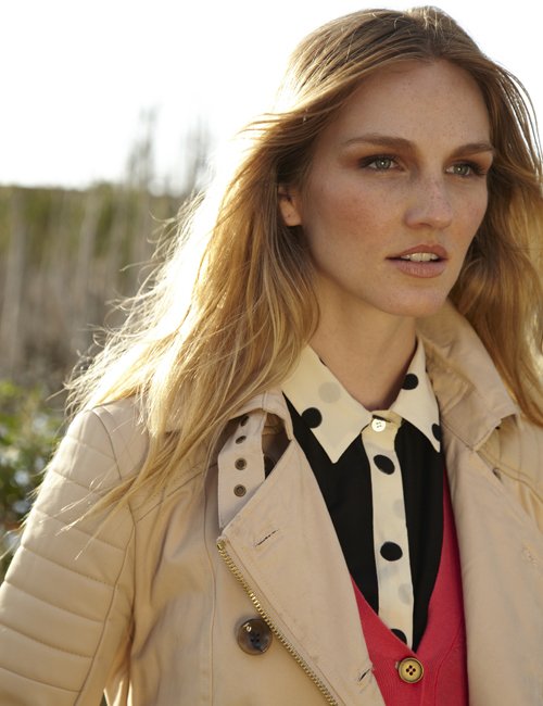 Picture of Robin Buss(i)