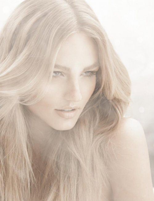 Image of Robin Buss(i)