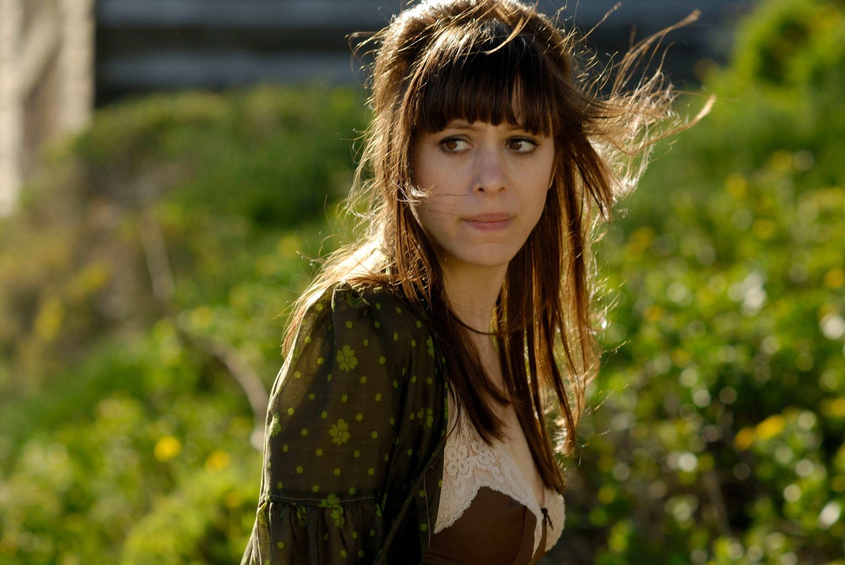 Picture of Flashbacks of a Fool