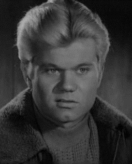 Arch Hall Jr. picture