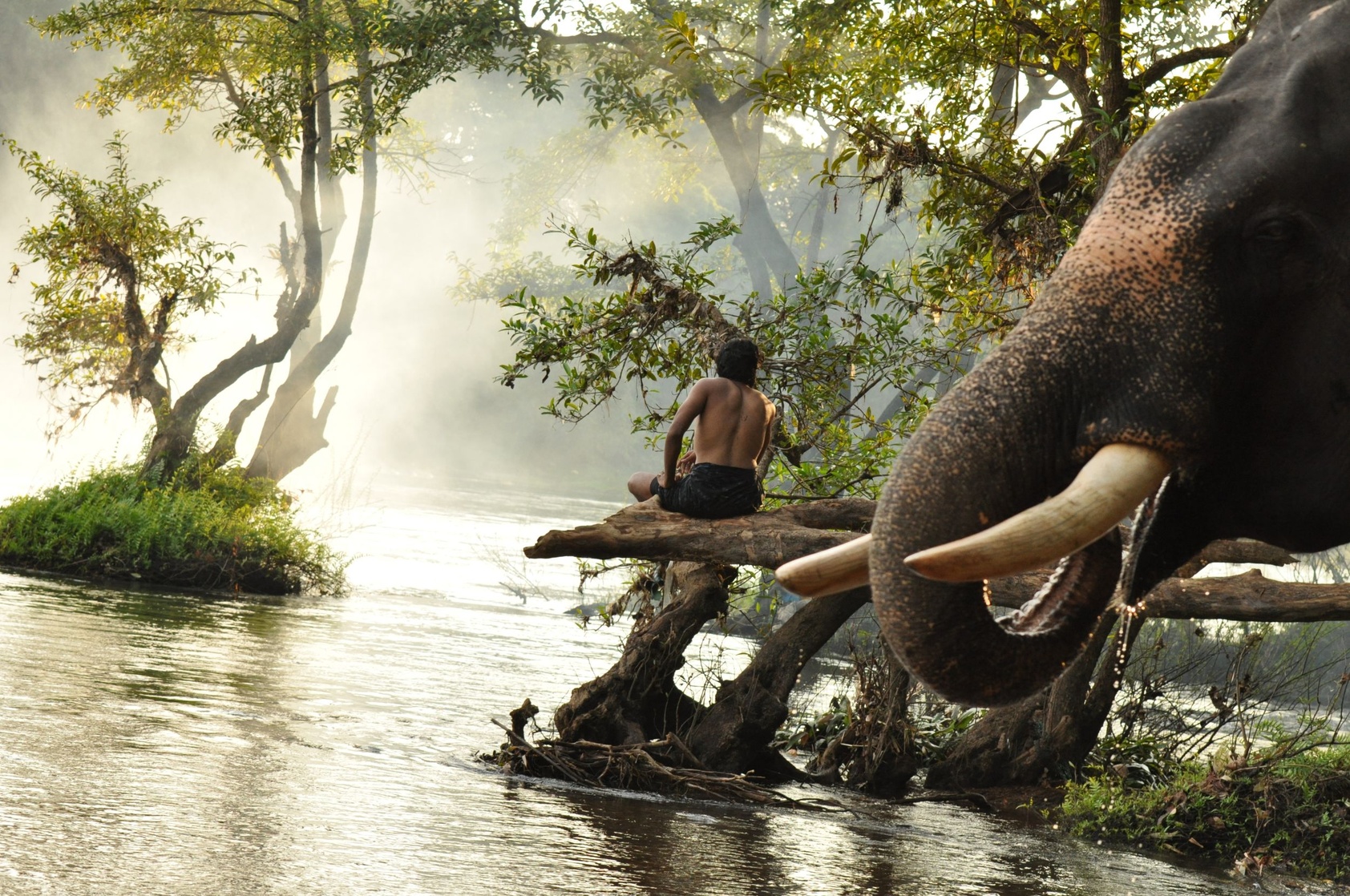 Picture of Kumki