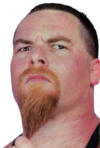 Picture of Jim Neidhart