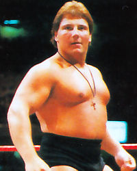 Picture of David Sammartino