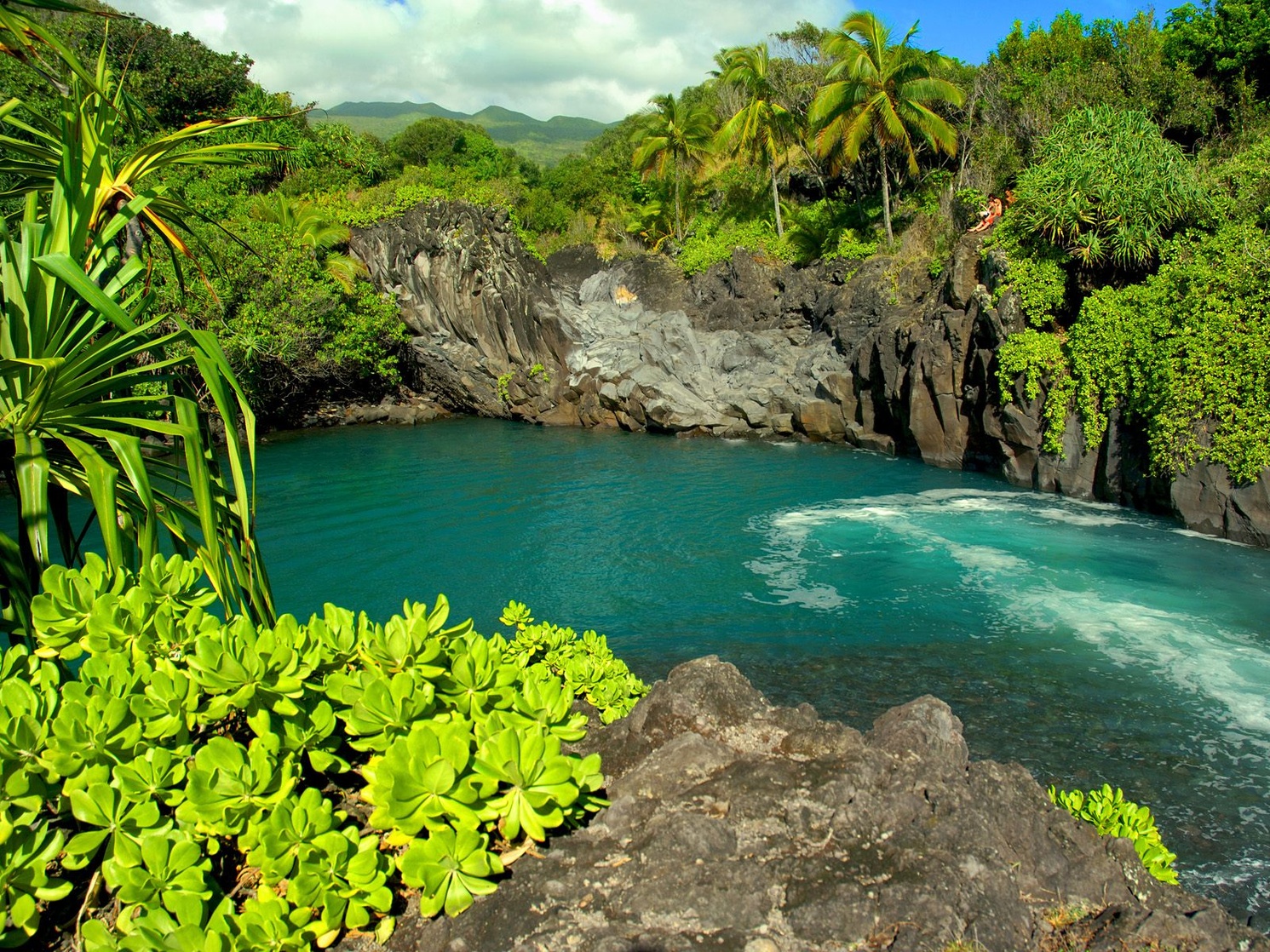 Picture of Maui
