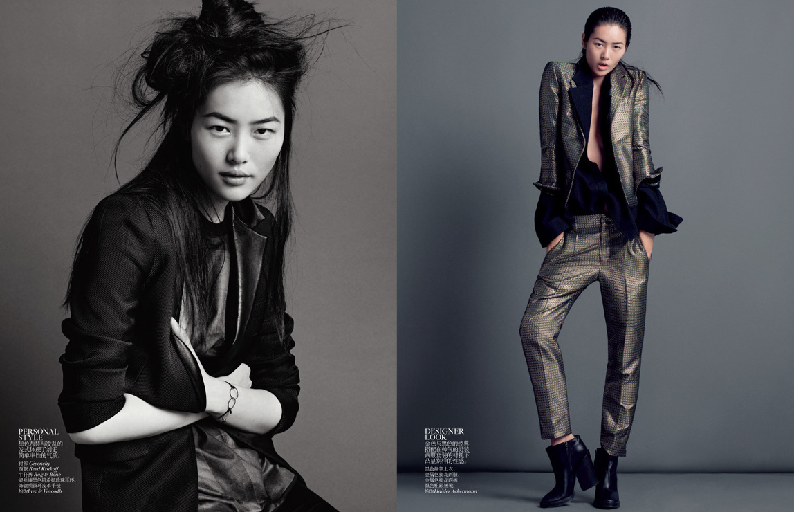 Picture of Liu Wen
