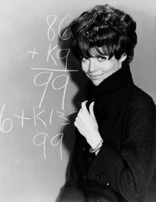 Picture of Barbara Feldon