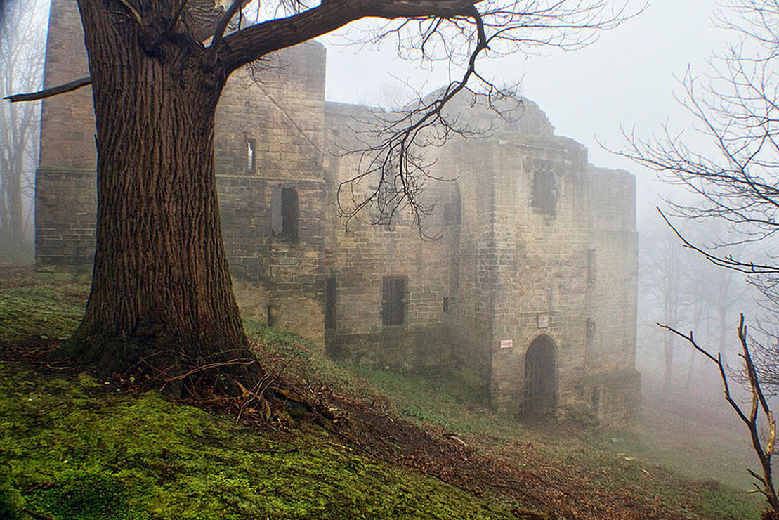 Harewood Castle picture