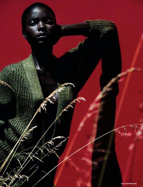 Jeneil Williams image
