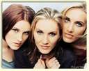 Picture of Shedaisy