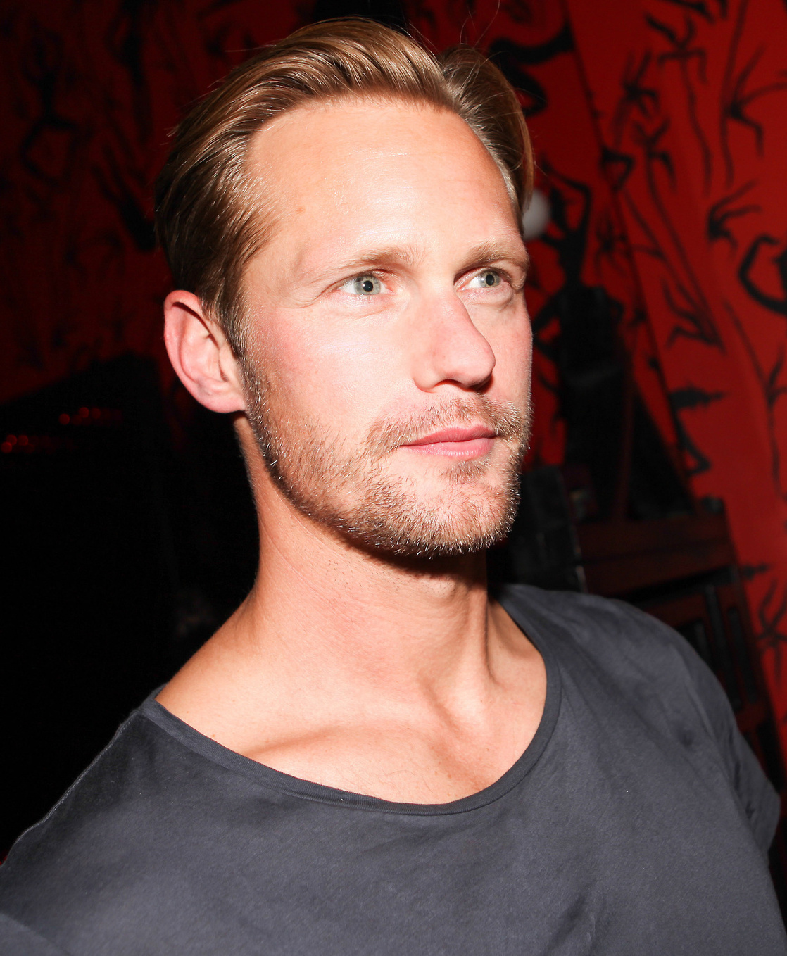 Picture of Alexander Skarsgård
