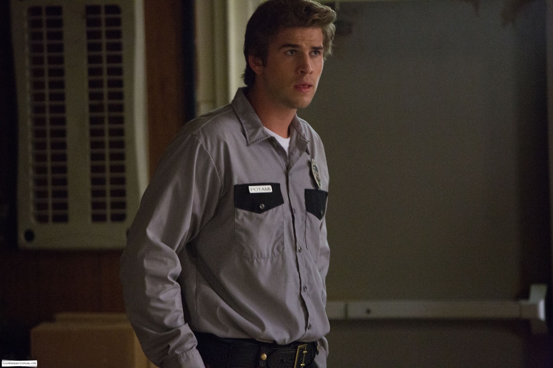 Liam Hemsworth picture