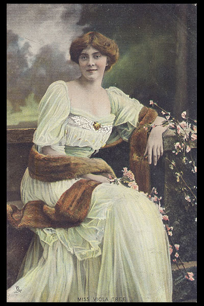 Picture of Viola Tree