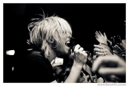 Picture of The Rocket Summer