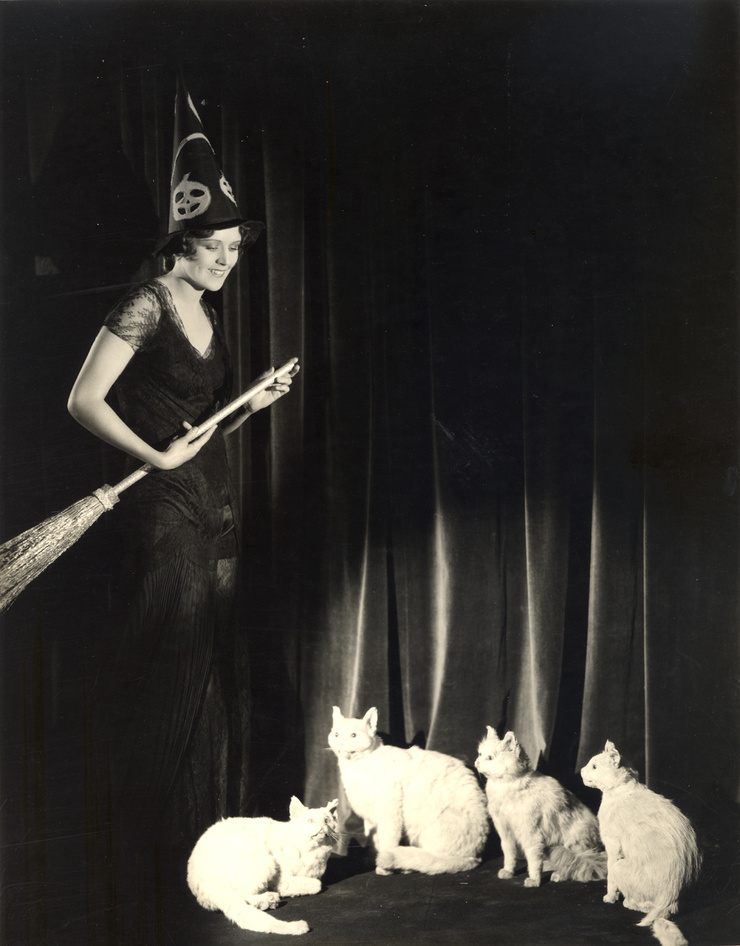 Picture of June Collyer