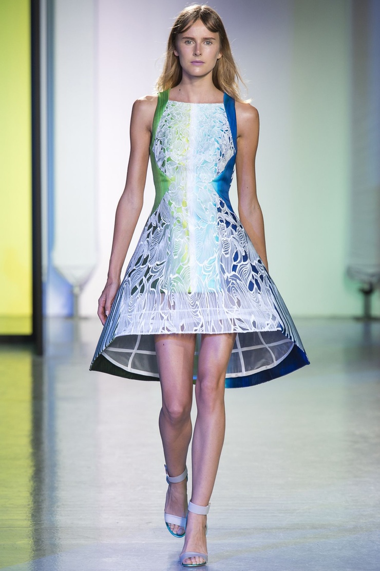 Picture of Lisanne De Jong