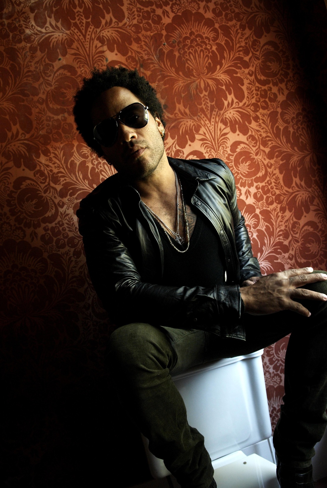 Picture of Lenny Kravitz