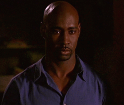 Picture of Robin Wood