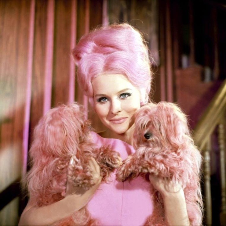 Picture of Diane McBain