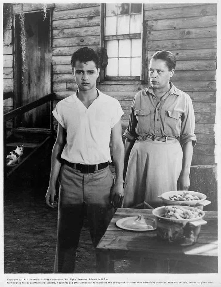 Picture of Sal Mineo