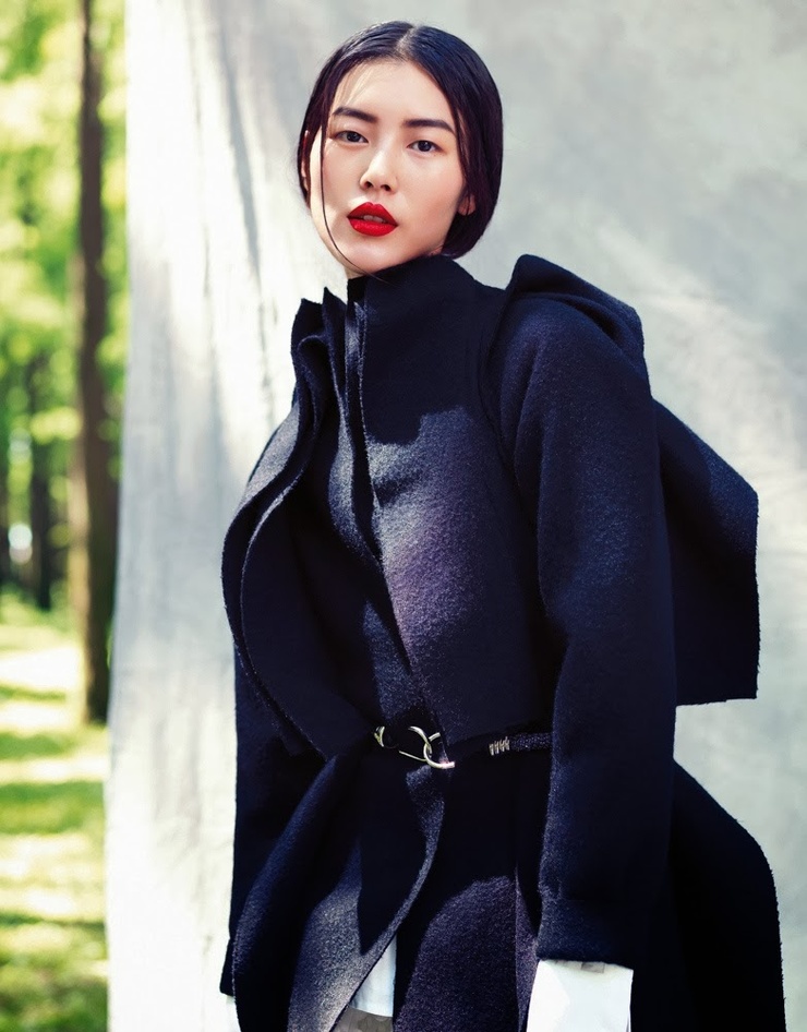 Liu Wen image