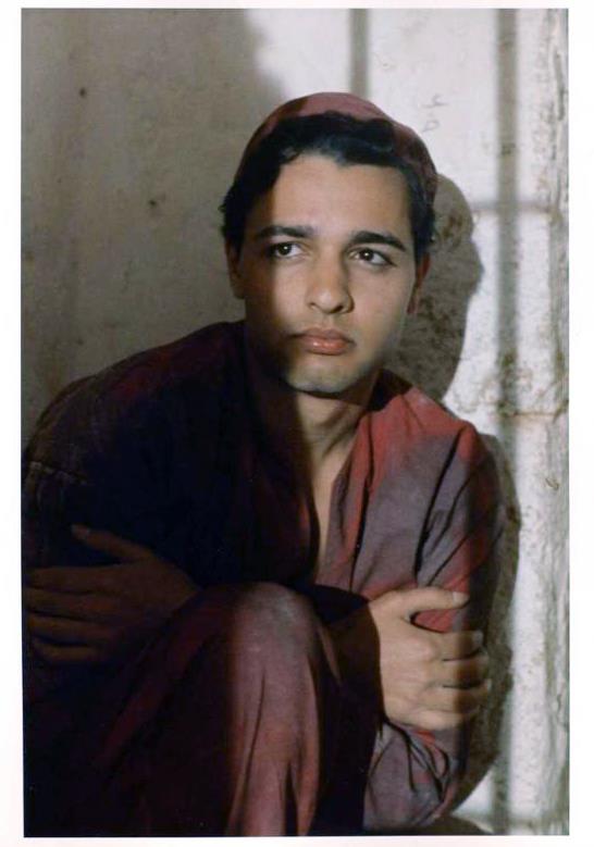 Picture of Sal Mineo