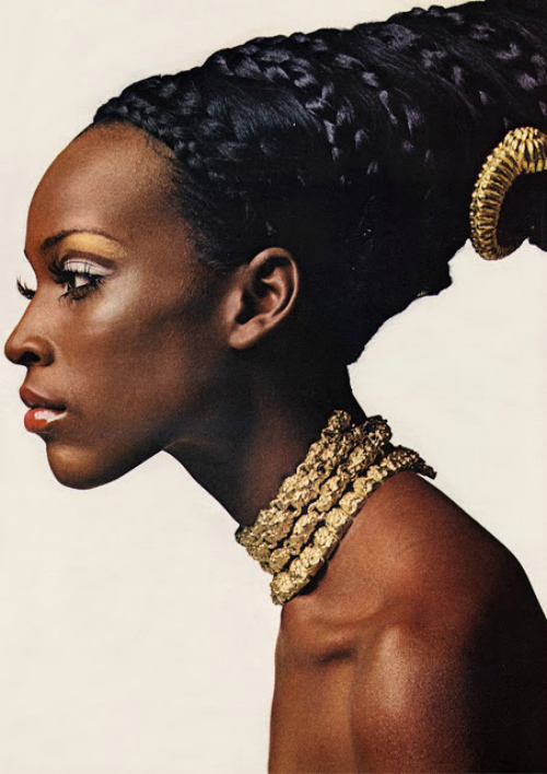 Picture of Naomi Sims