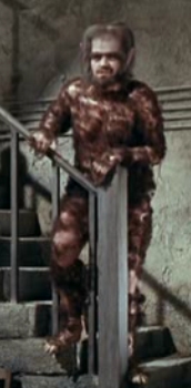 Picture of Carry on Screaming!
