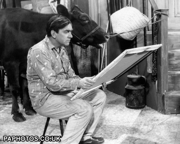 Picture of The Rebel (1961)