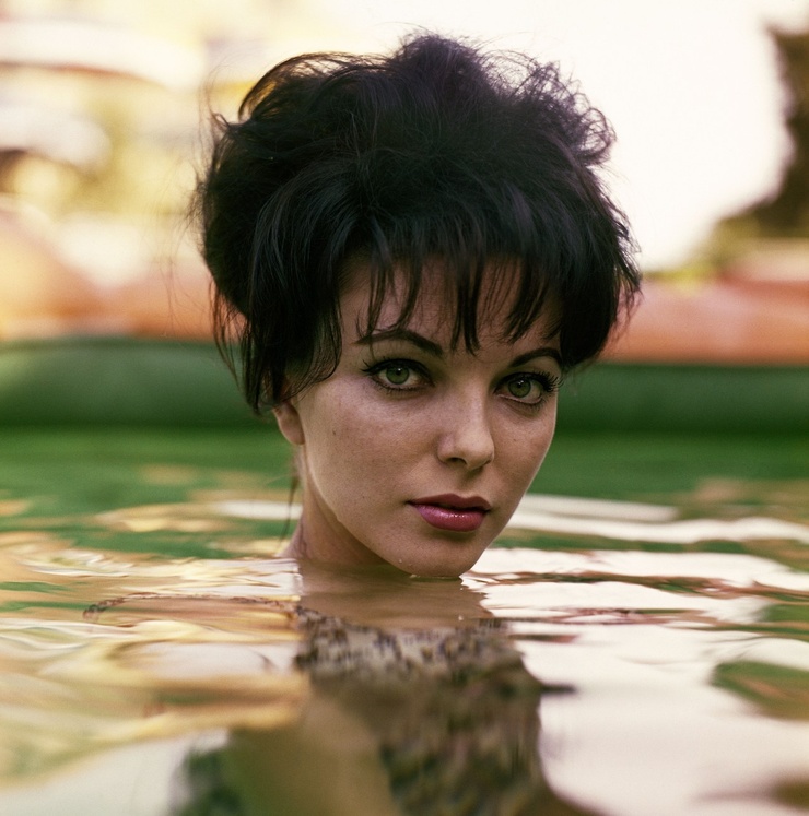 Picture of Joan Collins
