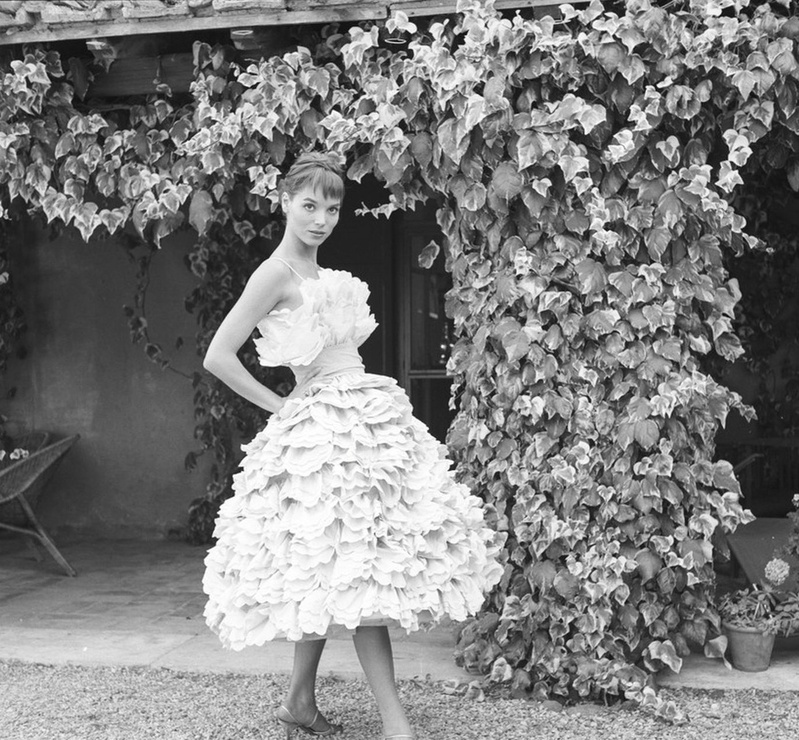 Picture of Elsa Martinelli