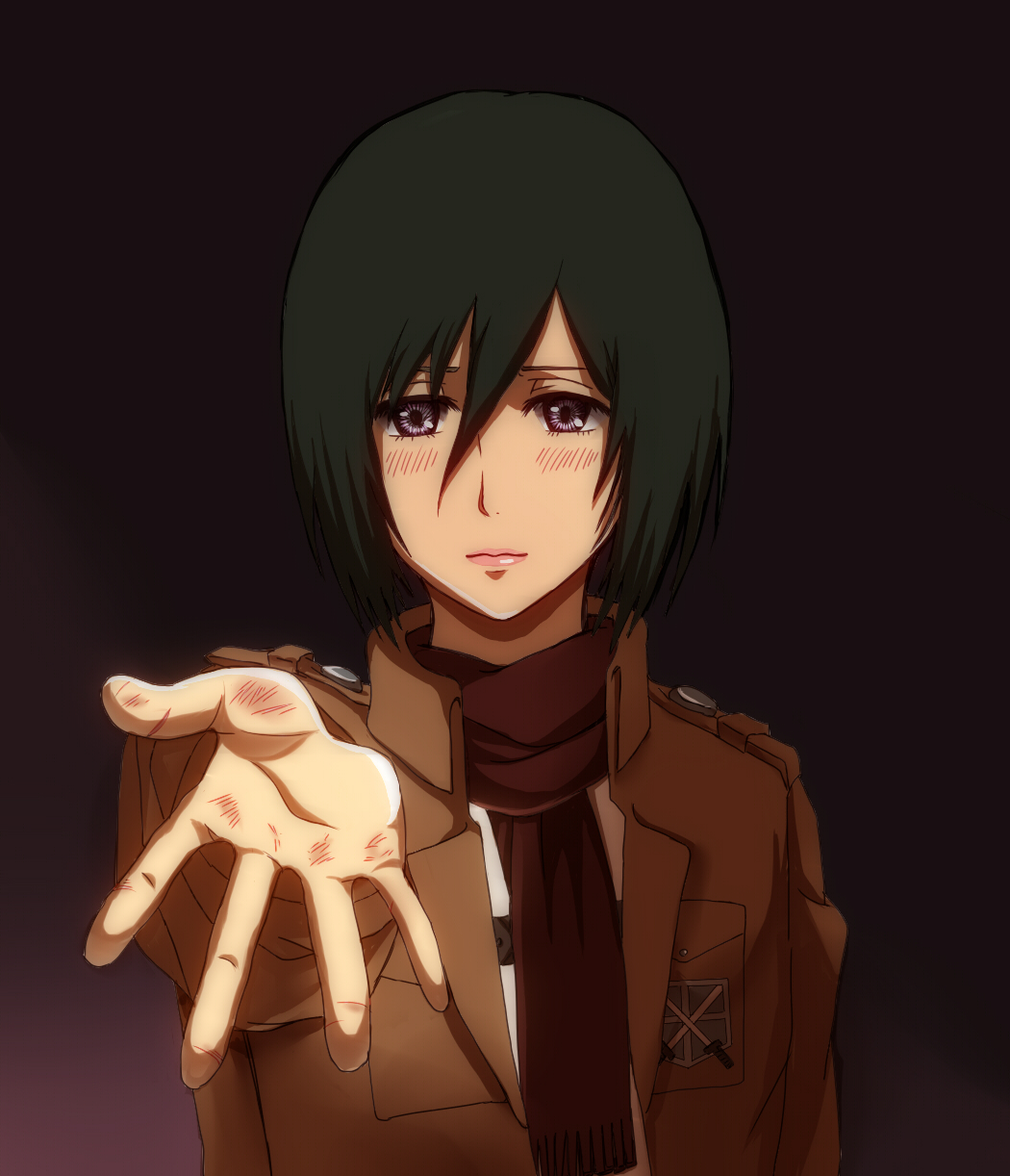Picture of Mikasa Ackerman