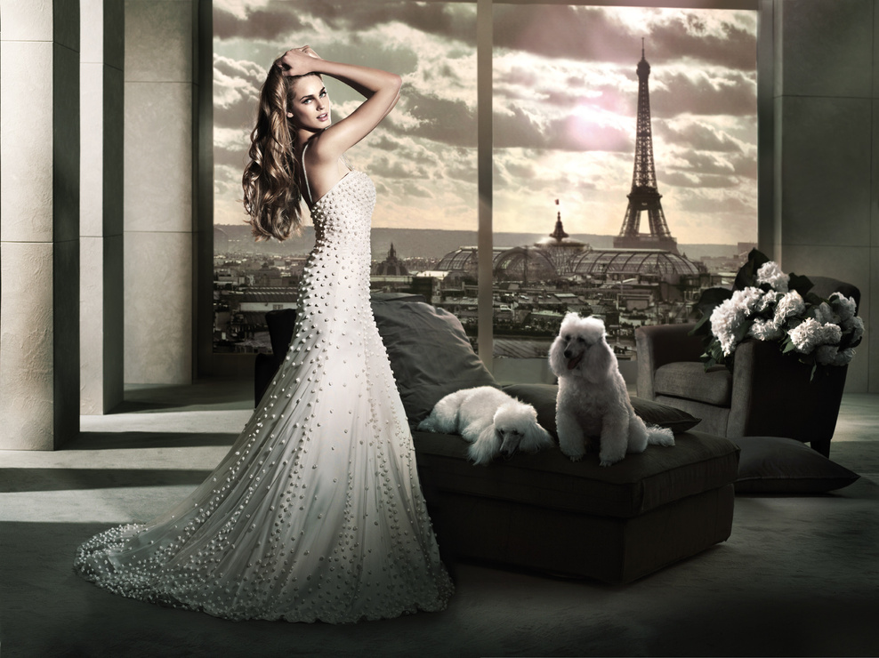 Vanessa for Alessandro Couture