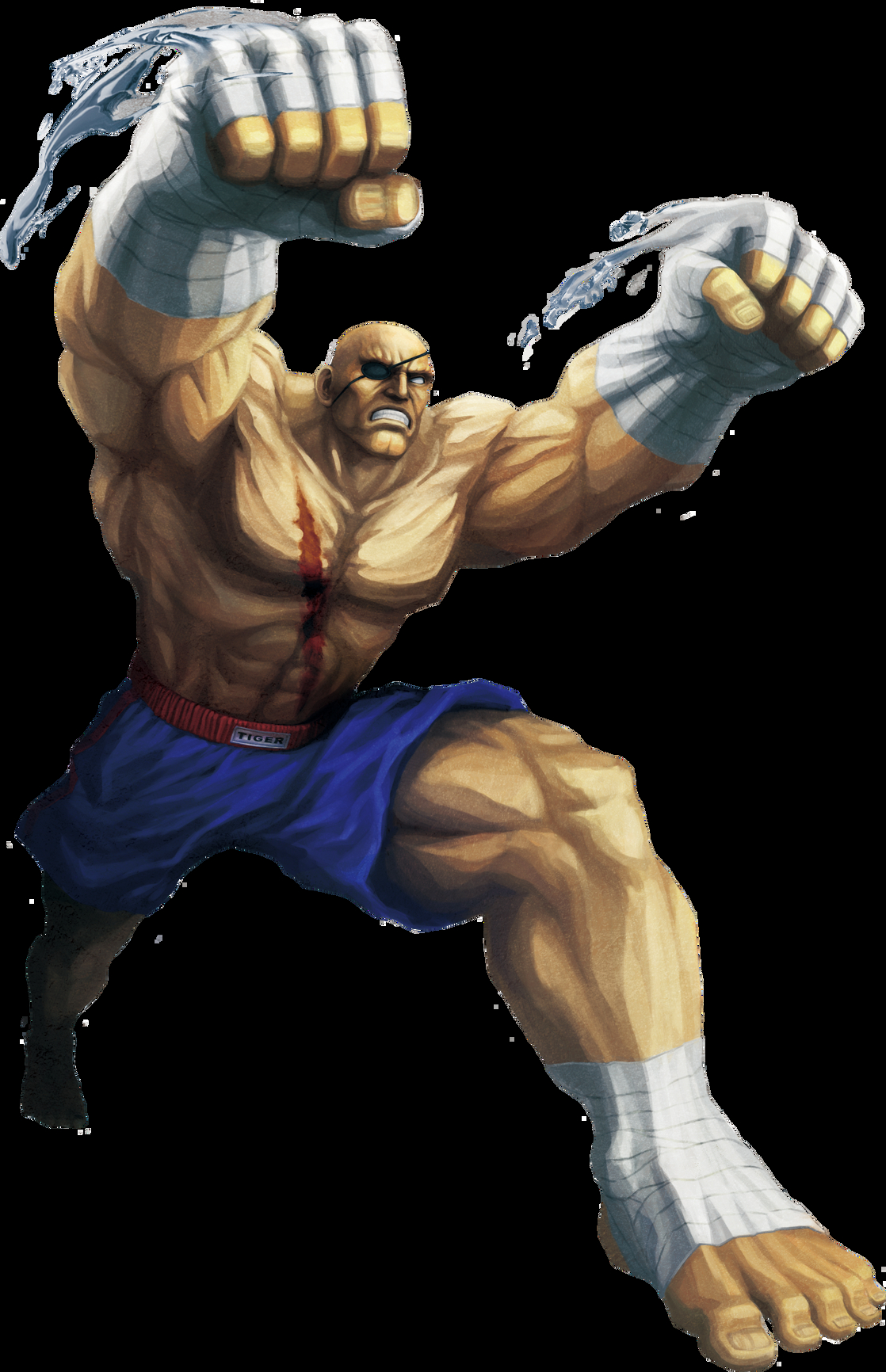 Image of Sagat